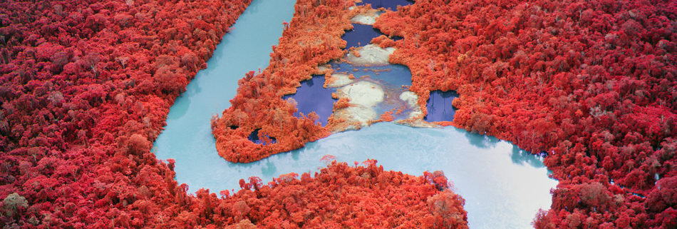 Richard Mosse: The biggest challenge was to make the audience feel ...