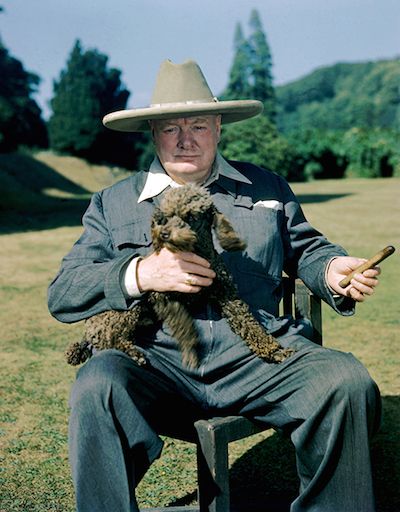 A strange rebirth of Tory England?