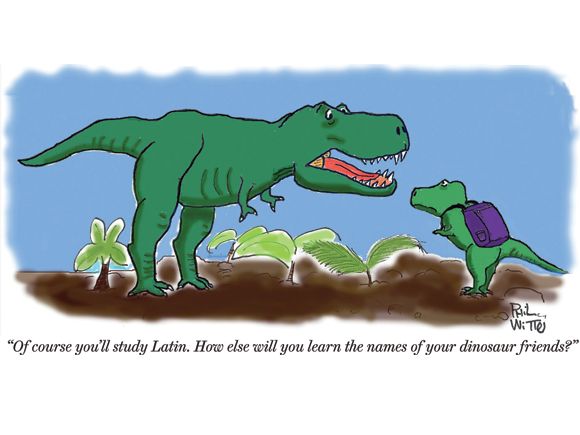 Cartoon: Learning your Latin