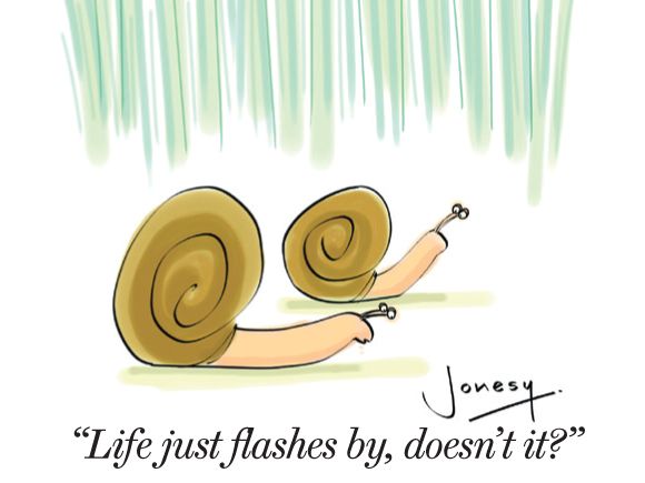 A snail's pace