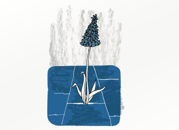 Flowery language: decoding the classical origins of botanical terms