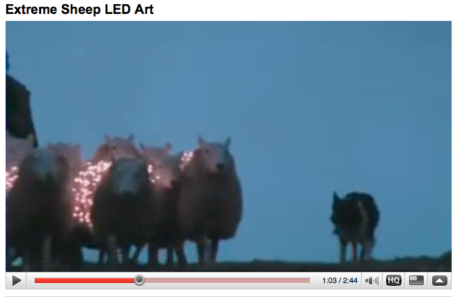 Prospect Friday: Do sheepdogs dream of electric sheep?