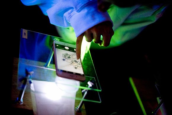 Prospect recommends: The best science exhibitions this month