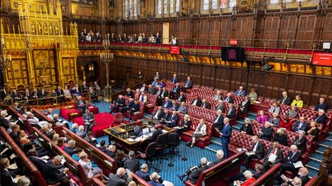 David Allen Green - Prospect Magazine